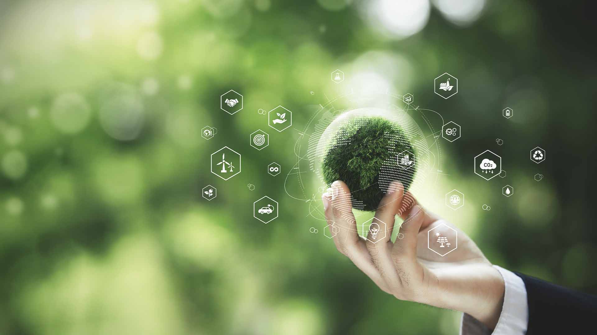 Green Skills: The Future Skills for a Sustainable World